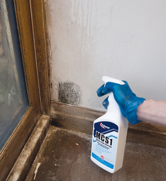 MCS1 Mould Clear | Wykamol